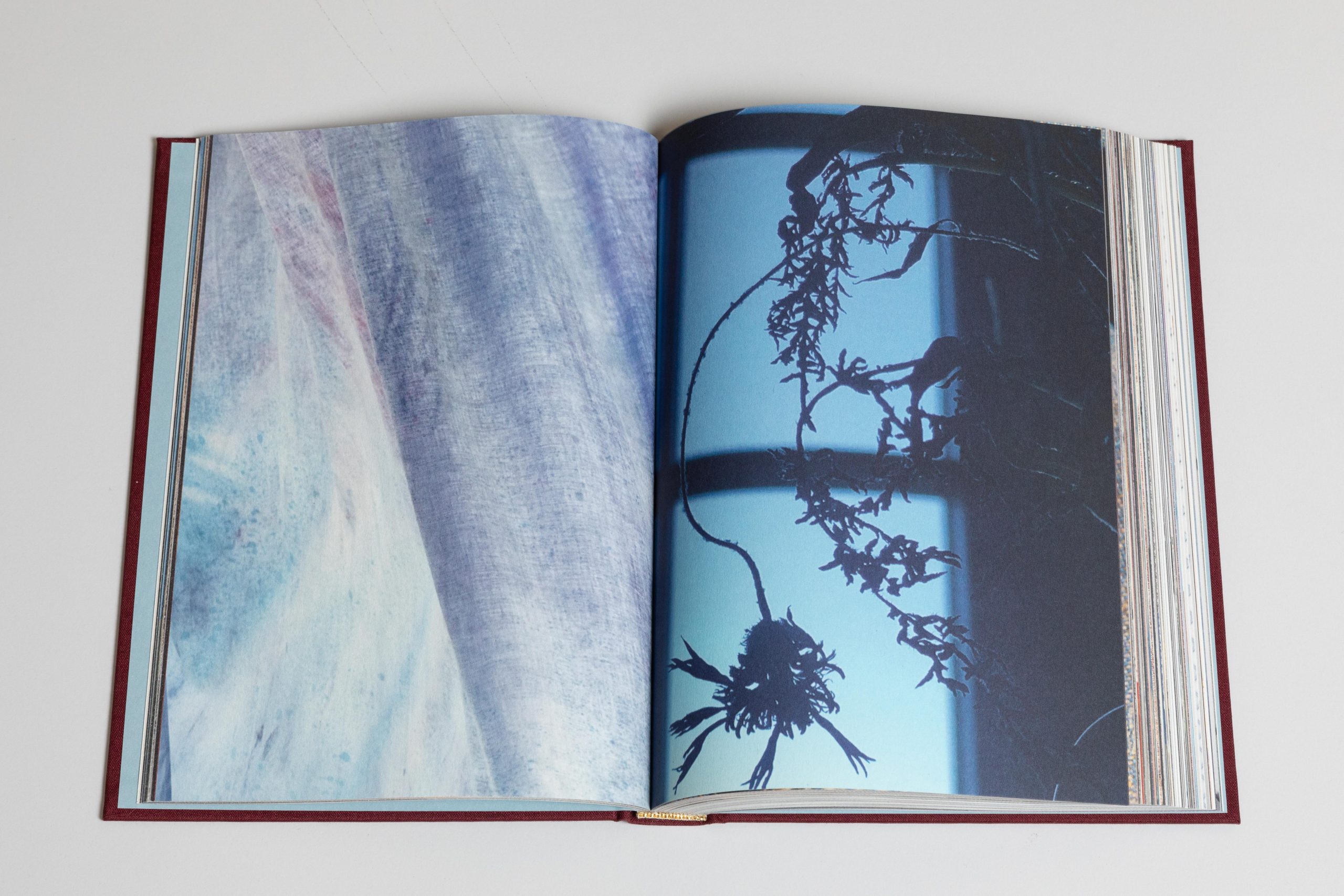 Reading in Conversation. Agnė Juodvalkytė ir knyga „ANSKA”